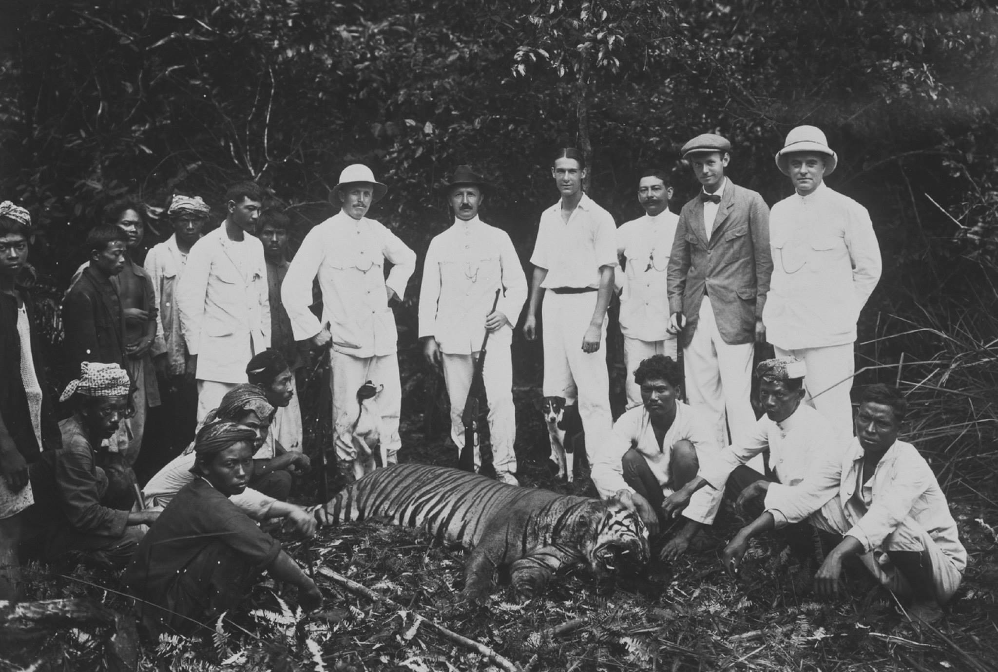 Wildlife Hunters – Stories from Deli